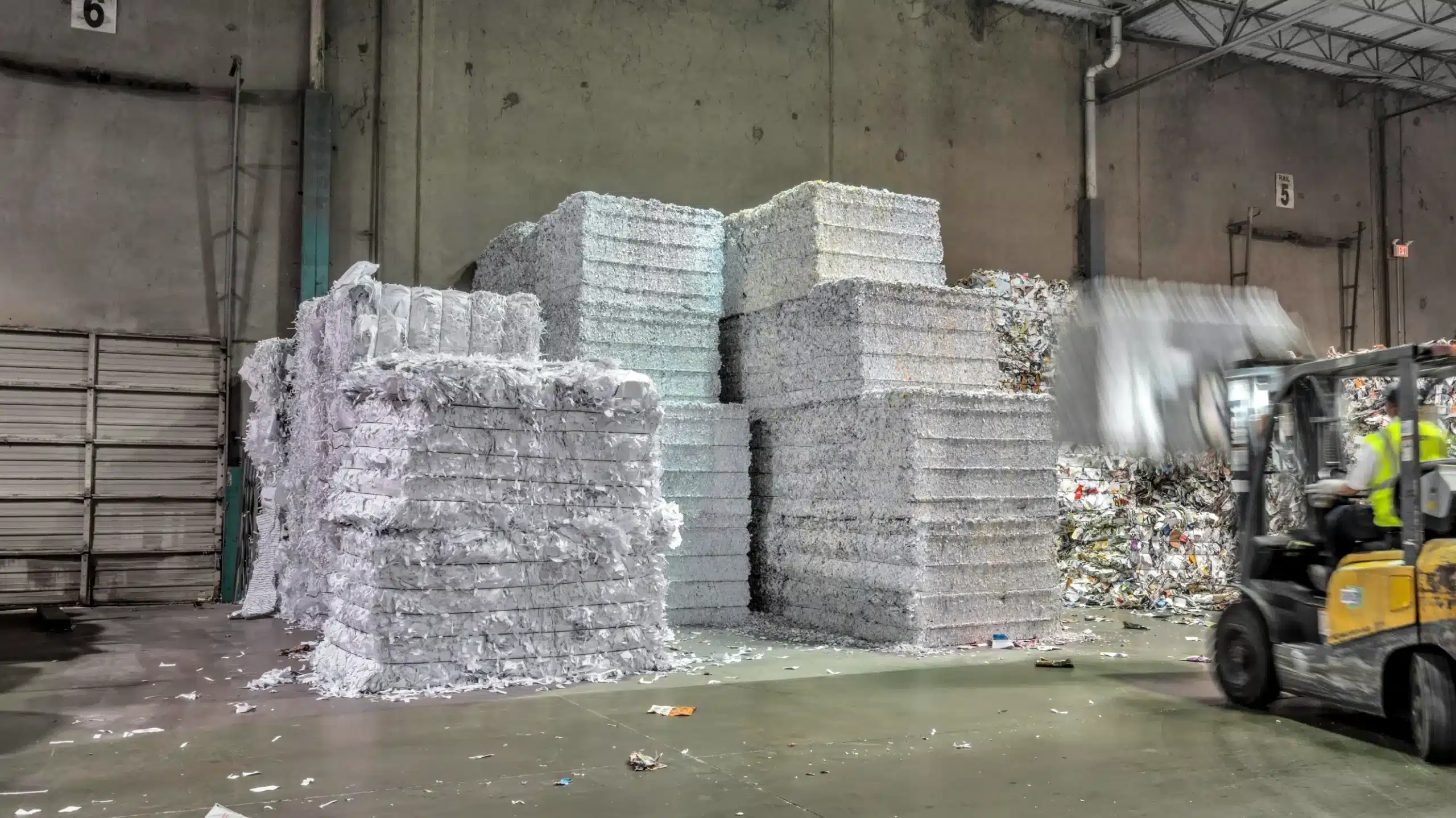 Shredding Services - Balcones Recycling - Contact Us Today